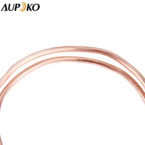 Aupoko Universal Gas Thermocouple, 600 mm Length, M8x1 End Nut and Head Tip Fit for BBQ Grill or Fire Pit Heater or Gas Water Heater