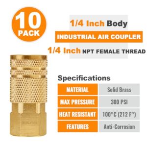 1/4 Inch Brass Female Industrial Coupler, SUNGATOR 1/4'' NPT Air Hose Fittings, Quick Connector Air Coupler,1/4 Inch Air Fittings for Auto Shop, Industrial Air Coupler Kit with Storage Case, 10 Pack