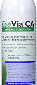 Rockwell Labs EVCA016 EcoVia CA Insecticide Contact Aerosol