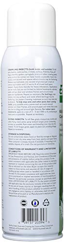 Rockwell Labs EVCA016 EcoVia CA Insecticide Contact Aerosol