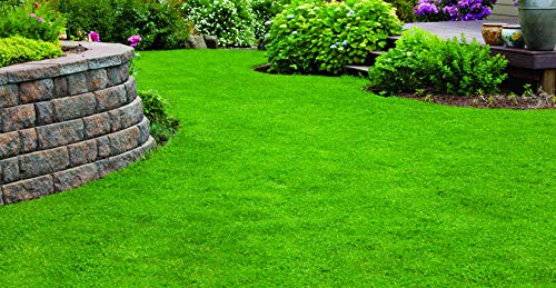 Microlawn Grass Seed & Microclover Mixture