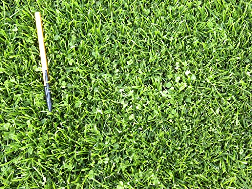 Microlawn Grass Seed & Microclover Mixture