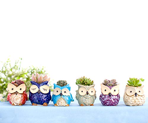 Claywa Ceramic Owl Succulent Pots Cute Animal Plant Planters 2.75" to 3.35" with Drainage Pack of 6 Plants Not Included