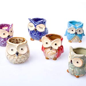 Claywa Ceramic Owl Succulent Pots Cute Animal Plant Planters 2.75" to 3.35" with Drainage Pack of 6 Plants Not Included