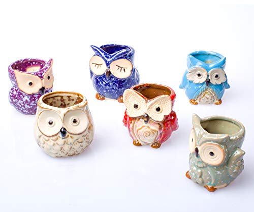 Claywa Ceramic Owl Succulent Pots Cute Animal Plant Planters 2.75" to 3.35" with Drainage Pack of 6 Plants Not Included