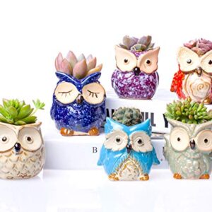 Claywa Ceramic Owl Succulent Pots Cute Animal Plant Planters 2.75" to 3.35" with Drainage Pack of 6 Plants Not Included