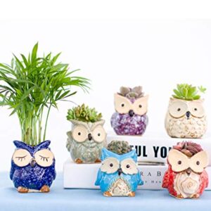 Claywa Ceramic Owl Succulent Pots Cute Animal Plant Planters 2.75" to 3.35" with Drainage Pack of 6 Plants Not Included