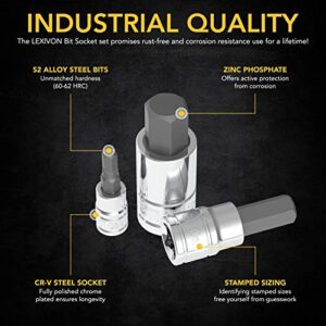 LEXIVON HEX Bit Socket Set, Premium S2 Alloy Steel | 13-Piece Metric 2mm - 14mm Set | Enhanced Storage Case (LX-141)