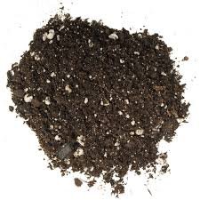 bonsai tree soil all purpose blend - 6 quarts - cz grain brand 100% organic all natural great for fast growing bonsai trees