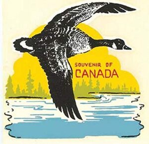 canada goose vintage travel decal sticker