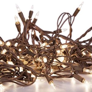 612 Vermont 100 Clear Mini Christmas String Lights on Brown Wire Cord, UL Approved for Indoor/Outdoor Use, 18 Foot of Lighted Length, 20 Foot of Total Length