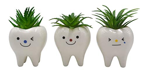 MONMOB Pack of 3 Mini Shaped Tooth Planter Ceramic Succulent Plant Pots Set for Small Succulent Tooth Gifts for Adults Kids Women Dentist