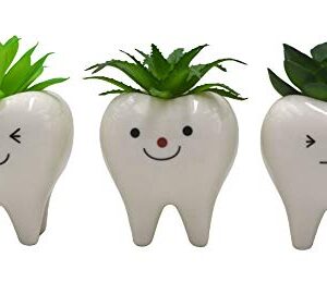 MONMOB Pack of 3 Mini Shaped Tooth Planter Ceramic Succulent Plant Pots Set for Small Succulent Tooth Gifts for Adults Kids Women Dentist