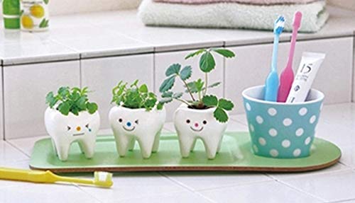 MONMOB Pack of 3 Mini Shaped Tooth Planter Ceramic Succulent Plant Pots Set for Small Succulent Tooth Gifts for Adults Kids Women Dentist