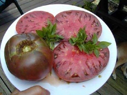 1239-Monster Amazon Black Tomato (Solanum lycopersicu) Seeds by Robsrareandgiantseeds UPC0764425789222 Non-GMO,Organic,USA Grower,Bonsai,Rapid-Growing,Fruit,1239 Package 15 Seeds