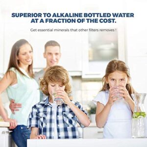 Oceanic Dual Post Carbon (GAC) & pH Alkaline Water Filter Cartridge for RO Systems