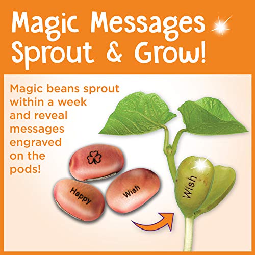 Creativity for Kids Magic Bean Garden, Reveal and Grow Magic Messages - Arts and Crafts for Girls and Boys, Kids Science Kit Ages 5-8+, Unique Gift for Kids