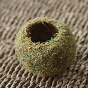 bjduck99 Creative Weave Moss Ball Flower Pot Holder Natural Planter Bonsai Garden Decor