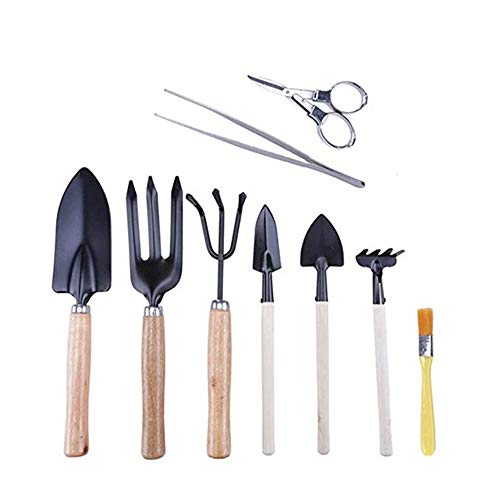 Hofumix Bonsai Tree Kit Bonzai Plant Tools Gardening Tools Set for Succulent Beginner Small Bonsai Care 10Pcs