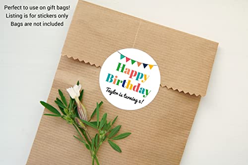 Personalized Birthday Stickers for Boys or Girls, Happy Birthday Gift Sticker, Celebration Stickers, F2:33