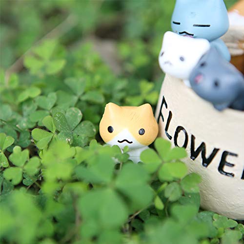 Apol Set of 6 Cartoon Lucky Cat Micro Landscape DIY Miniature Craft Garden Home Decoration Plant Pots Bonsai Craft Decor