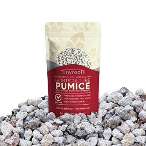 bonsai outlet horticultural pumice for plants - tinyroots succulents, cactus, bonsai plants - 100% pure bonsai pumice rocks, 1/4 inch soil additive, 2 quarts