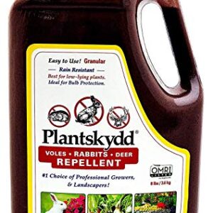 Plantskydd PS-VRD-8 Granular Animal Repellent for Deer, Rabbits and Voles, Also for Deer, elk, Moose, Hares, Voles, Squirrels, Chipmunks and Other Herbivores; 8 LB Granular Shaker Jug (8 lb)