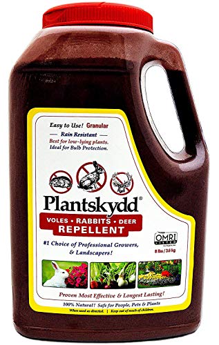 Plantskydd PS-VRD-8 Granular Animal Repellent for Deer, Rabbits and Voles, Also for Deer, elk, Moose, Hares, Voles, Squirrels, Chipmunks and Other Herbivores; 8 LB Granular Shaker Jug (8 lb)