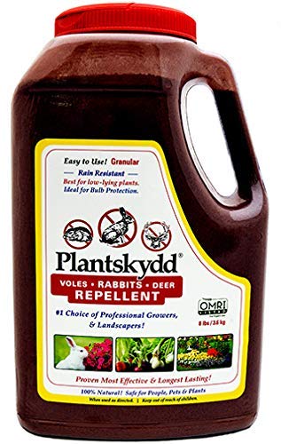 Plantskydd PS-VRD-8 Granular Animal Repellent for Deer, Rabbits and Voles, Also for Deer, elk, Moose, Hares, Voles, Squirrels, Chipmunks and Other Herbivores; 8 LB Granular Shaker Jug (8 lb)