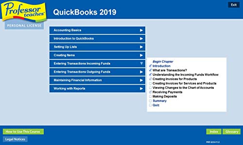 Individual Software Professor Teaches QuickBooks 2019