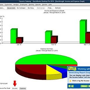 Individual Software Professor Teaches QuickBooks 2019