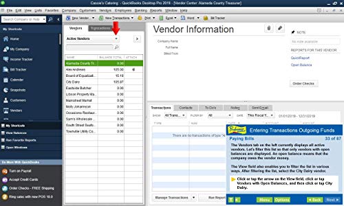 Individual Software Professor Teaches QuickBooks 2019