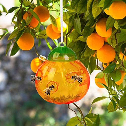 Aspectek Wasp Trap Outdoor or Indoor Hanging Helps You to Rescue from Insects, Yellow Jackets, Hornets, Honey Bees, Flies, Gnat, etc, 2 Pack