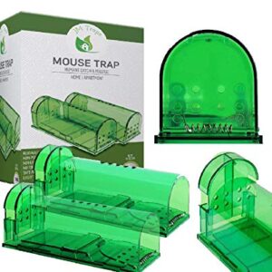 JM Traps 2019 New Upgraded Humane Mouse Trap, Easy to Set, Reusable, for Small Rodents,Pets Hamsters/Moles/Voles, Kids/Pet Safe