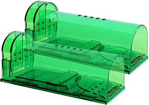 JM Traps 2019 New Upgraded Humane Mouse Trap, Easy to Set, Reusable, for Small Rodents,Pets Hamsters/Moles/Voles, Kids/Pet Safe