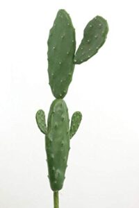 renaissance 2000 17" single cactus, multi