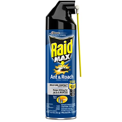 Raid Max Ant & Roach Killer Aerosol 14 oz, Pack of 4