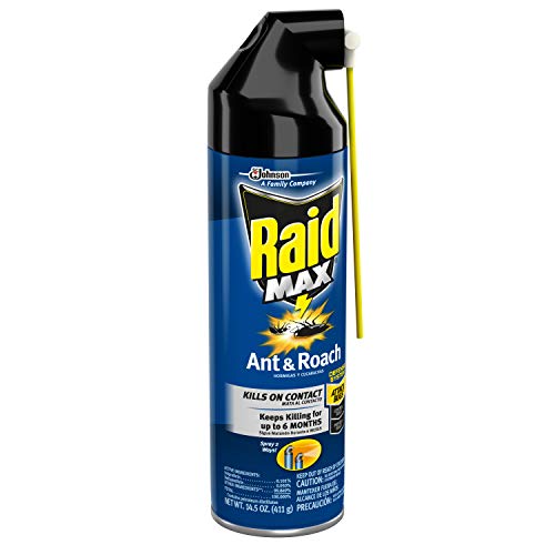 Raid Max Ant & Roach Killer Aerosol 14 oz, Pack of 4