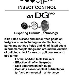 The Andersons DuoCide Professional-Grade Lawn Insect Control - Covers up to 9,000 sq ft (18 lb)