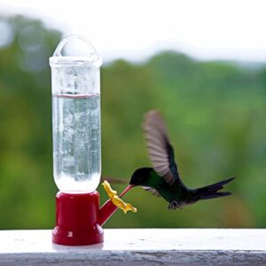 VIMOA Mini Hummingbird Feeder 4 Pack Small Hummingbird Feeders for Outdoor 2.3oz