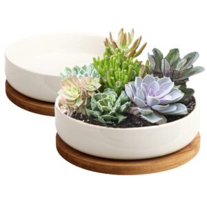 zoutog succulent pots, 6 inch white ceramic flower planter pot with bamboo tray, pack of 2 - plants not included