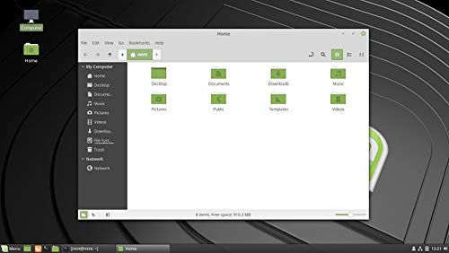 Linux Mint 19.1 Tessa 64-bit on DVD