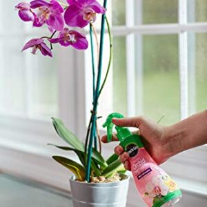 Scotts Miracle-GRO Orchid Plant Food Mist (Orchid Fertilizer), 8 oz. (6 Pack)