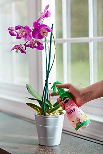 Scotts Miracle-GRO Orchid Plant Food Mist (Orchid Fertilizer), 8 oz. (6 Pack)