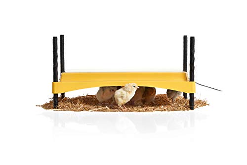 Brinsea Products Ecoglow Safety 1200 Brooder for Chicks Or Ducklings, Yellow/Black