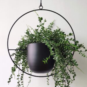 RISEON Boho Black Metal Plant Hanger,Metal Wall and Ceiling Hanging Planter, Modern Planter, Mid Century Flower Pot Plant Holder, Minimalist Planter for Indoor Outdoor Home Decor