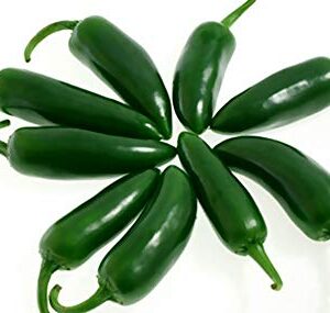 30+ Mucho Nacho Jalapeno Hot Pepper Seeds Heirloom Non-GMO, Capsicum annuum, Spicy, Super Delicious and Fragrant! from USA