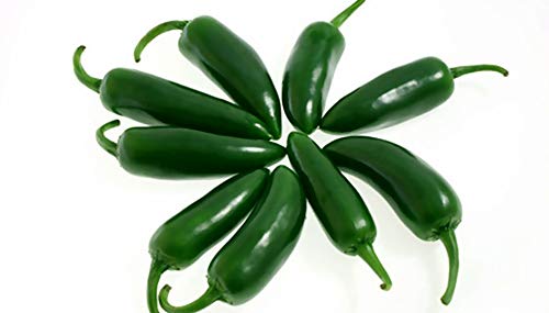 30+ Mucho Nacho Jalapeno Hot Pepper Seeds Heirloom Non-GMO, Capsicum annuum, Spicy, Super Delicious and Fragrant! from USA