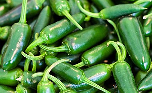 30+ Mucho Nacho Jalapeno Hot Pepper Seeds Heirloom Non-GMO, Capsicum annuum, Spicy, Super Delicious and Fragrant! from USA