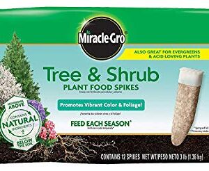 Miracle-GRO Tree & Shrub Fertilizer Spikes, 5 Pack